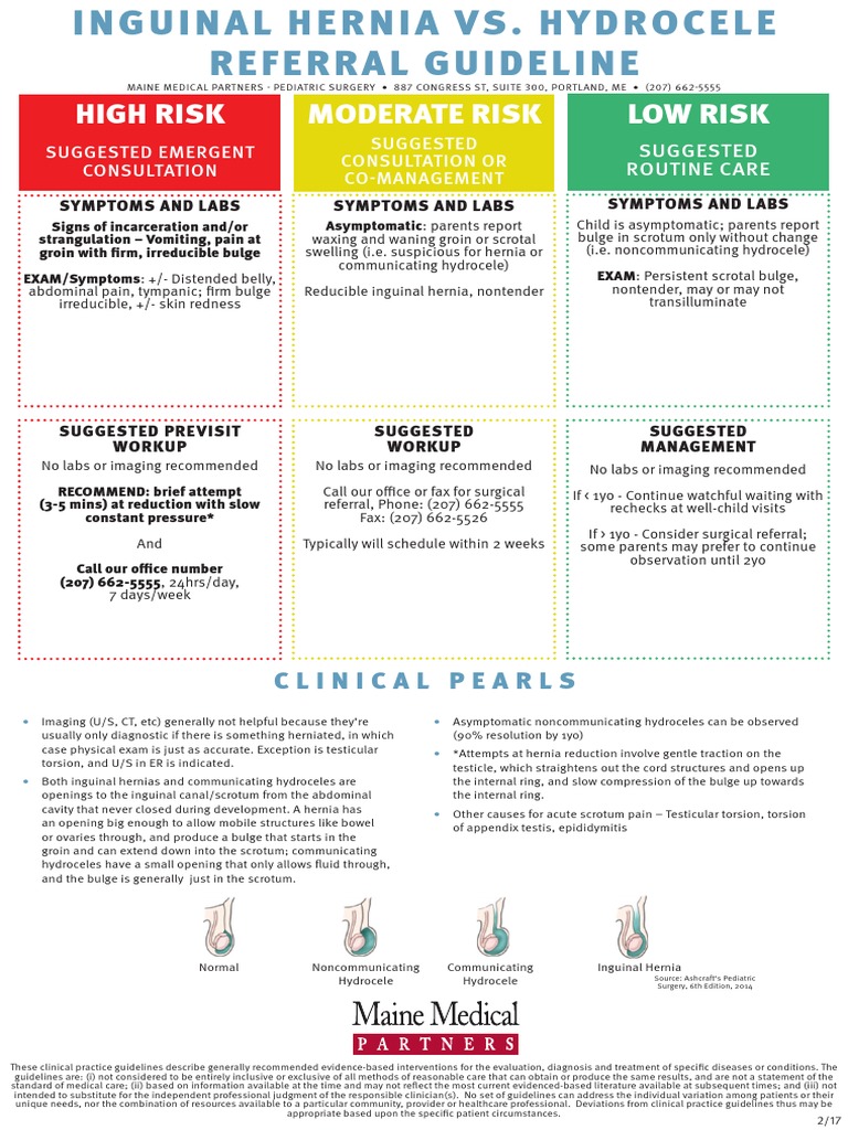 High Risk Moderate Risk Low Risk: Clinical Pearls | PDF | Health ...