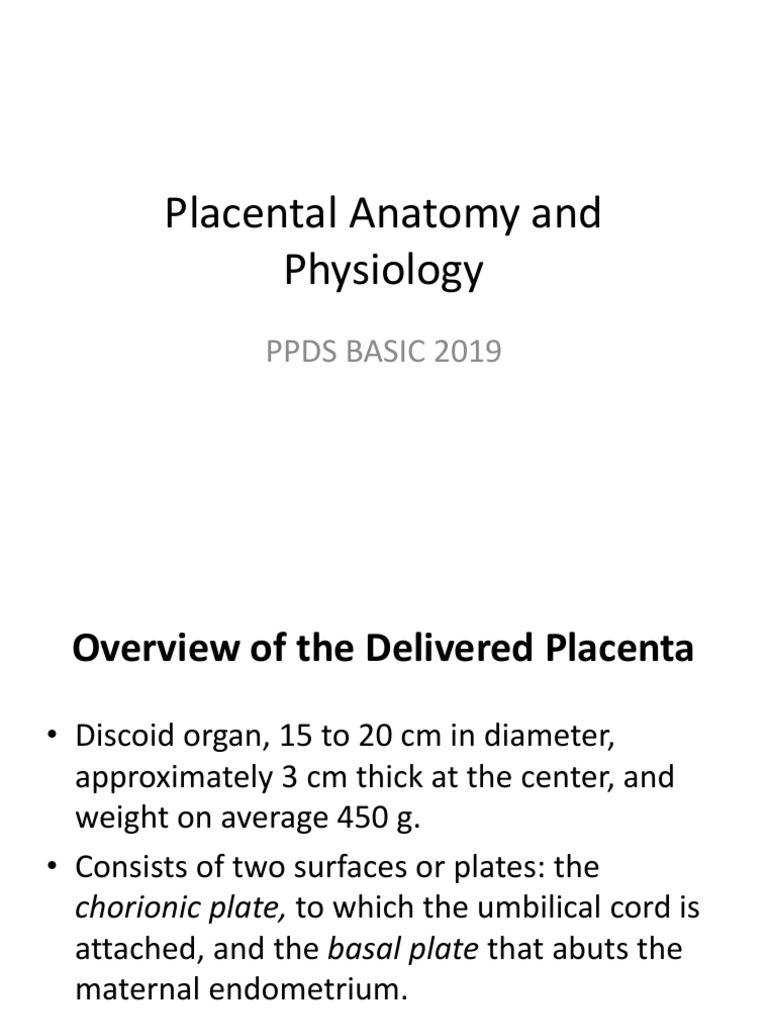 Placental Anatomy and Physiology: Ppds Basic 2019 | PDF | Placenta | Fetus