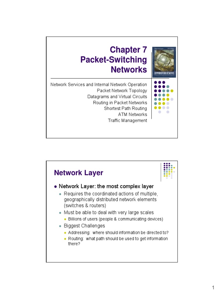 Packet-Switching Networks Networks: Network Layer | PDF | Routing | Computer Network