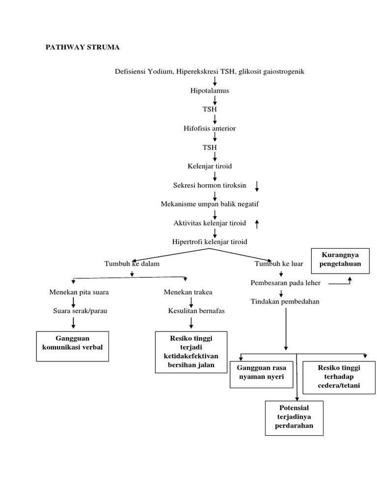 Pathway Struma | PDF