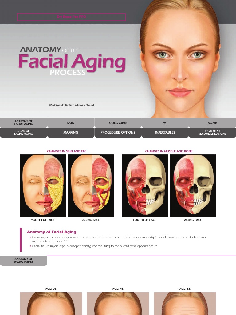 Facial Aging Tool | PDF | Skin | Wrinkle