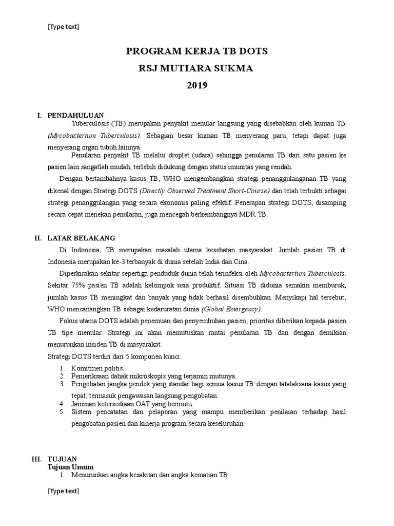 Program Kerja TB Dots RSJ | PDF