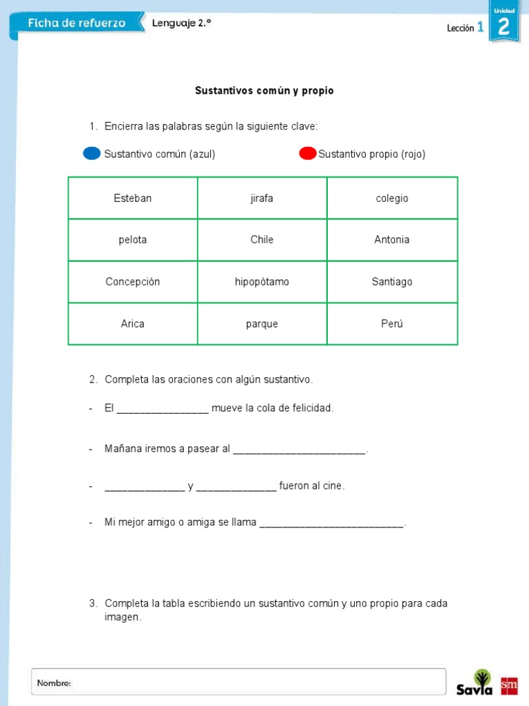 Sustantivos: Común y Propio | PDF