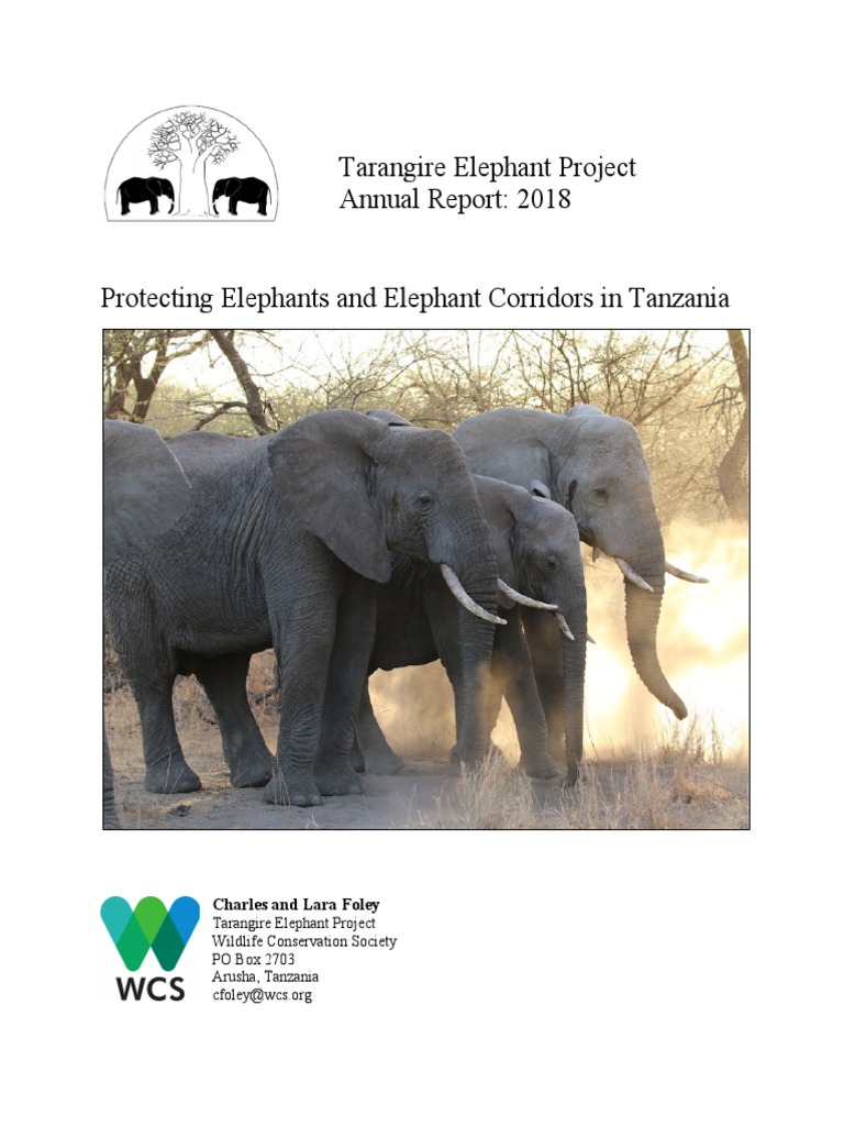 Tarangire Elephant Project 2018 Report | PDF | Organisms | Conservation