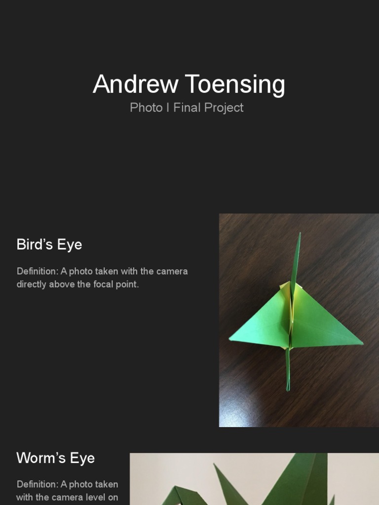 Photo I Final - Andrew Toensing | PDF