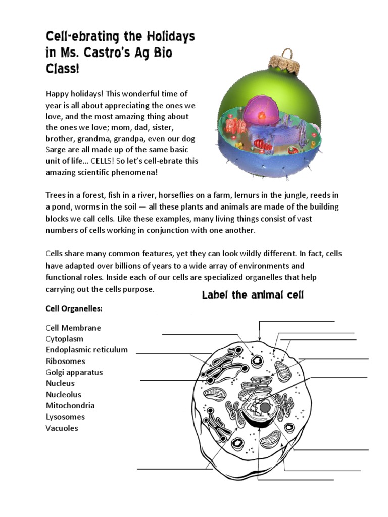 Cell Model Ornament PDF | PDF | Cytoplasm | Eukaryotes