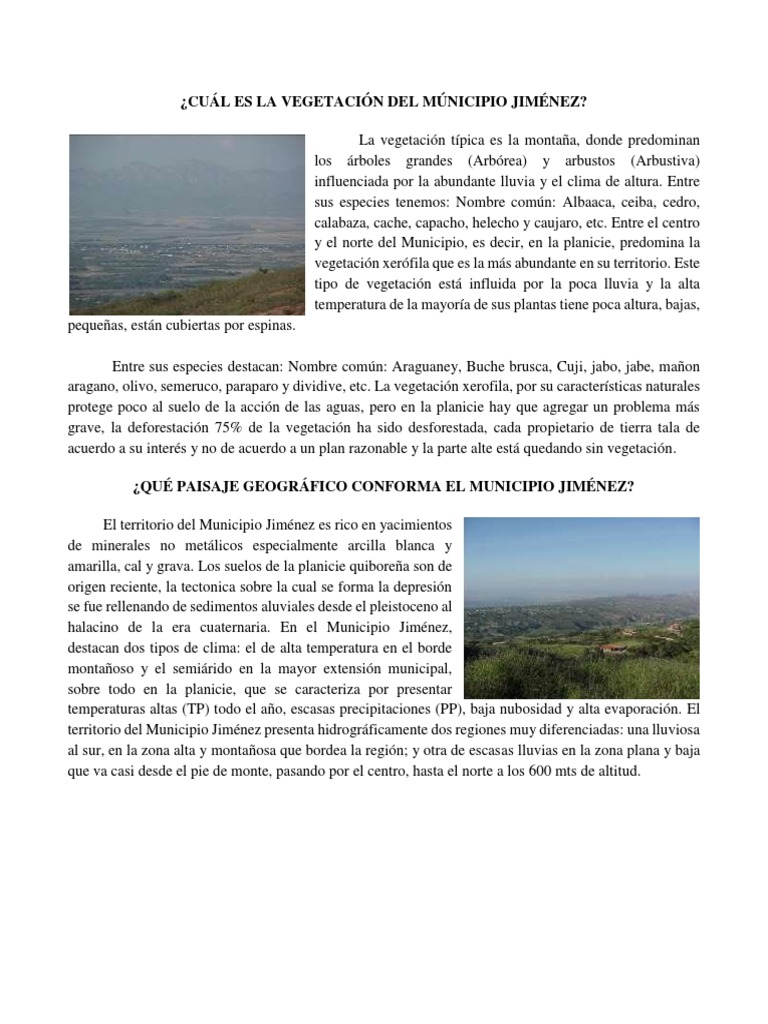Vegetación y clima del municipio Jiménez | PDF | Lluvia | Montañas