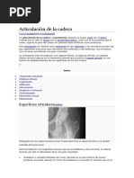 Articulación Coxofemoral Cuadro Integrador | PDF | Rodilla | Cadera