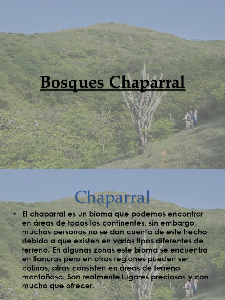 Bosques Chaparral | PDF | Geografía Física | Ciencias de la Tierra