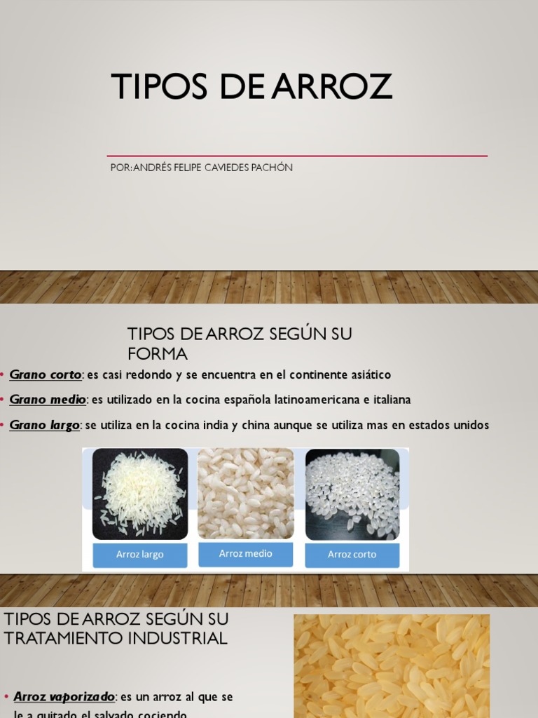 Tipos de Arroz 2 | PDF | Arroz | Alimentos