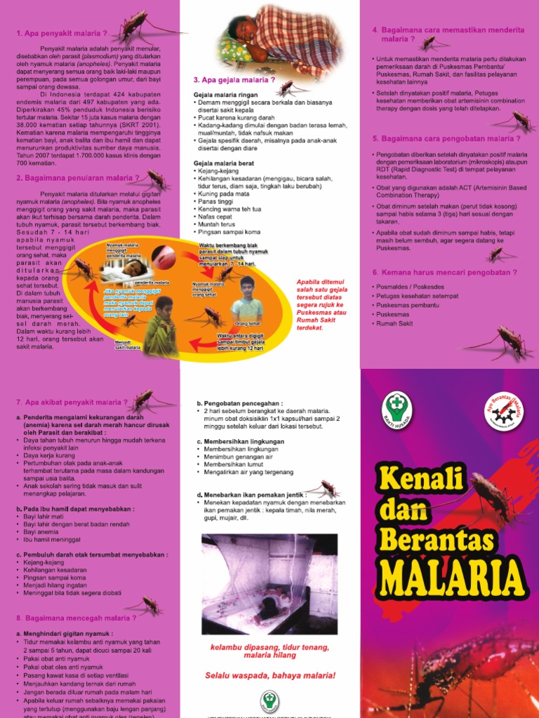 Leaflet Malaria 2011 PDF | PDF