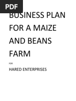 Vegetable Farming Business Plan Template | PDF | Equity (Finance ...