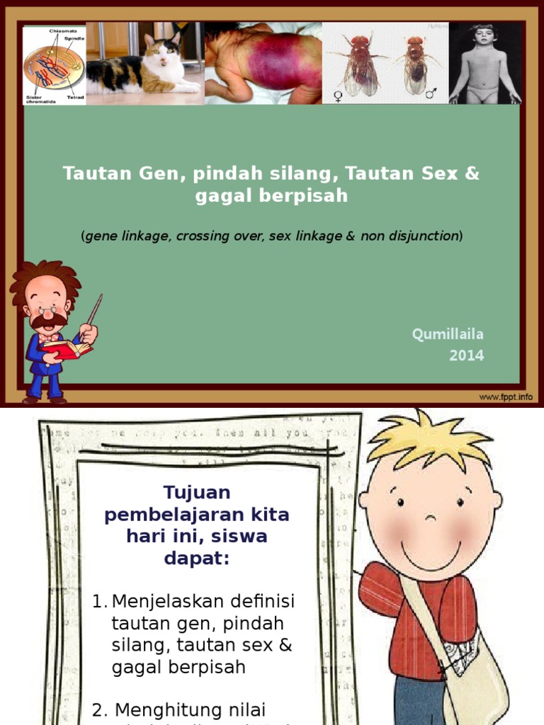 Definisi Tautan Gen dan Pindah Silang | PDF