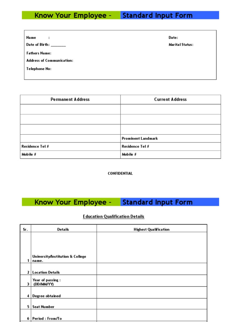 Employee Standard Input Form | PDF | Employment | Government Information