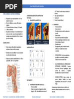 Escala de Rotterdam | PDF