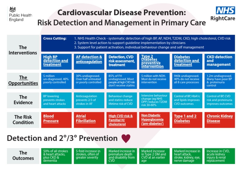 Cardiovascular Disease Prevention: Risk Detection and Management in ...