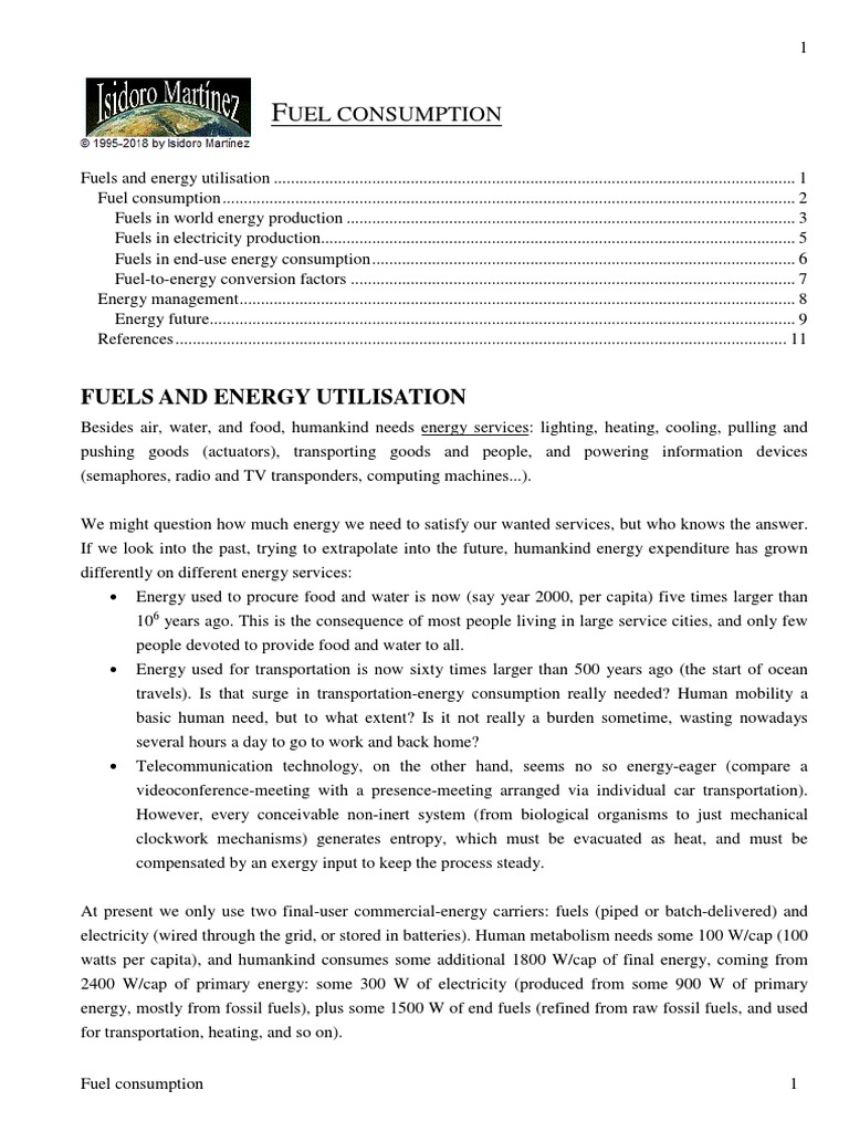 Fuel Consumption | PDF | Fuels | World Energy Consumption