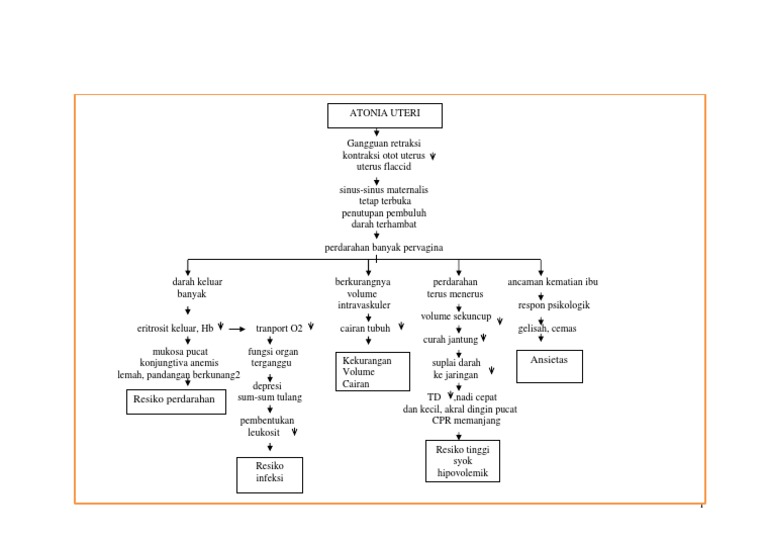Pathway Atonia Uteri | PDF