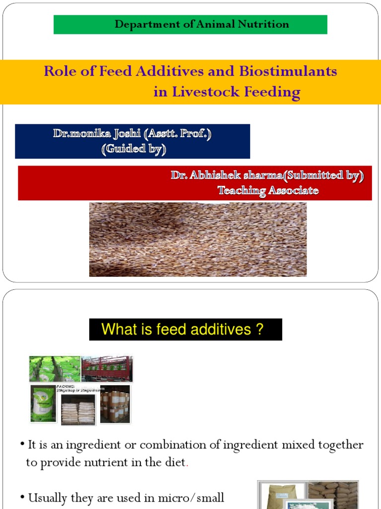 Feed Additives | PDF | Probiotic | Growth Hormone