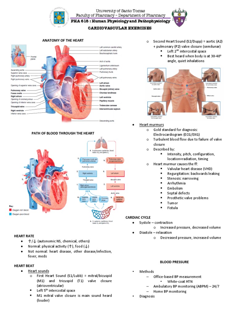 PHA 618: Human Physiology and Pathophysiology Cardiovascular Exercises ...