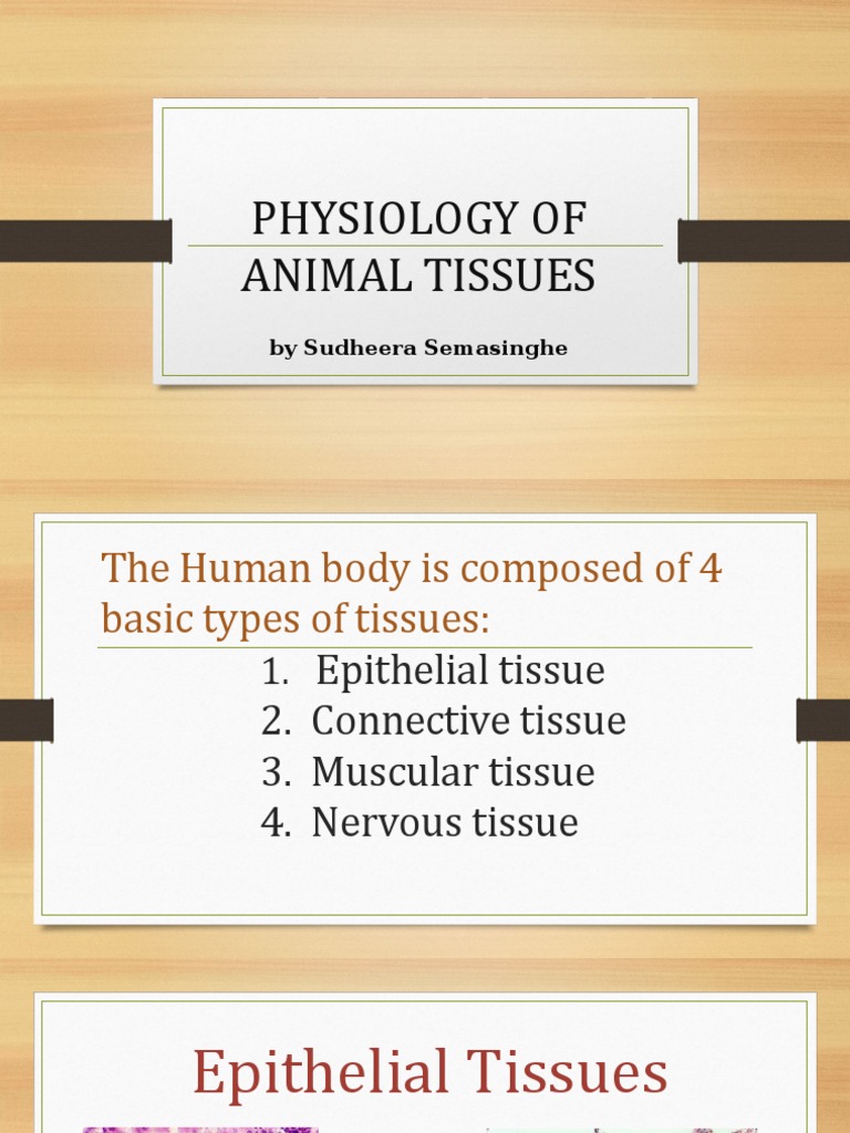 Physiology of Animal Tissues | PDF | Epithelium | Tissue (Biology)