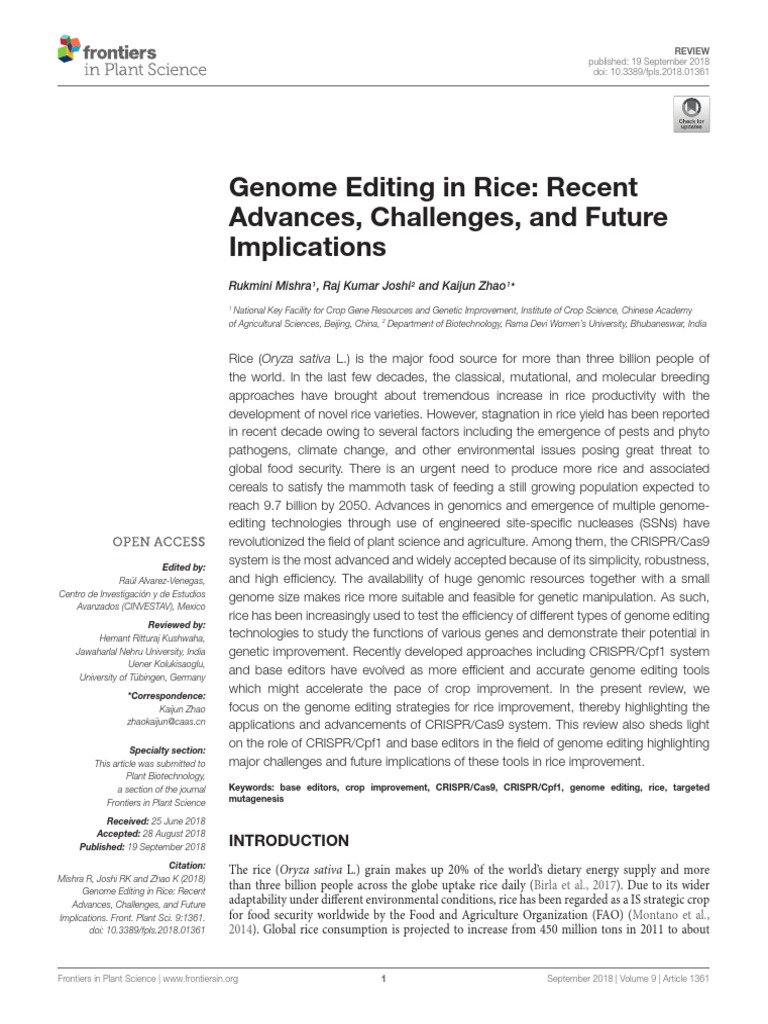 Genome Editing in Rice: Recent Advances, Challenges, and Future ...