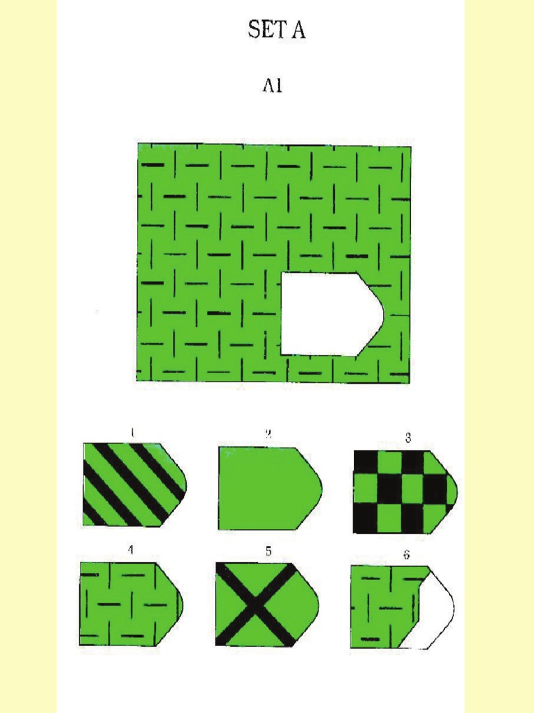 Matricile Progresive Raven Color PDF | PDF