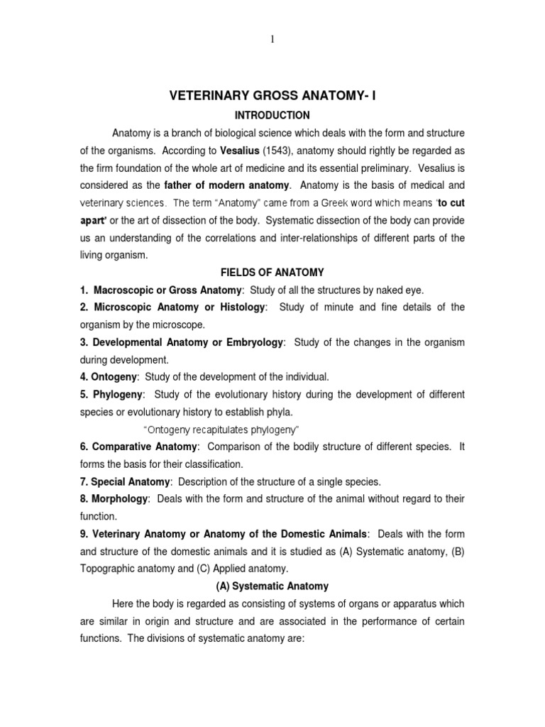 Veterinary Gross Anatomy Introduction | PDF | Elbow | Anatomical Terms ...