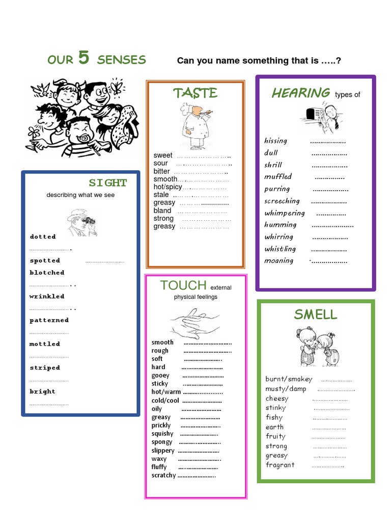 5 Senses | PDF | Cognitive Science | Neuroscience