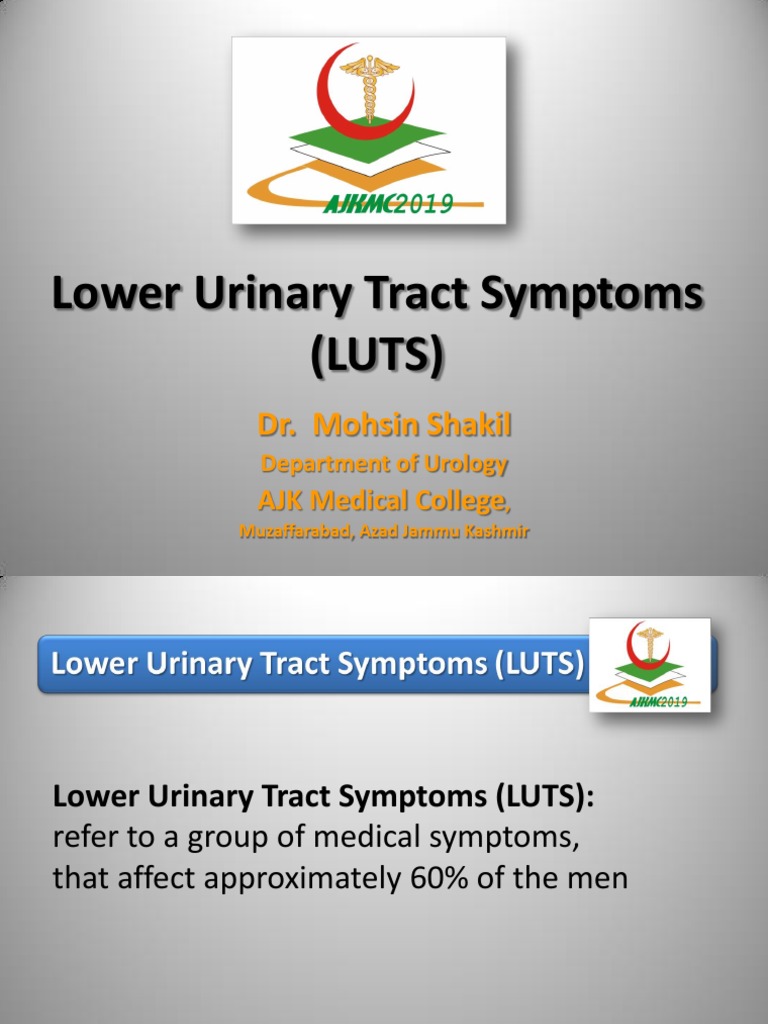 Lower Urinary Tract Symptoms LUTS PDF | PDF | Urinary Incontinence ...