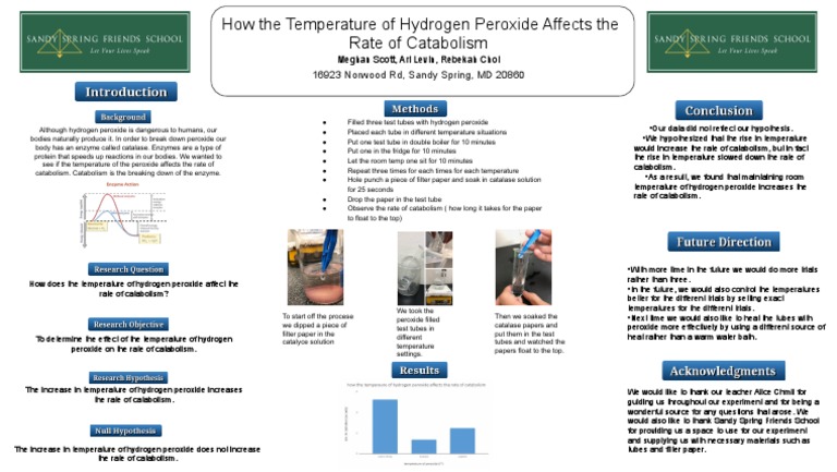 Catalace Poster | PDF | Catalase | Chemistry