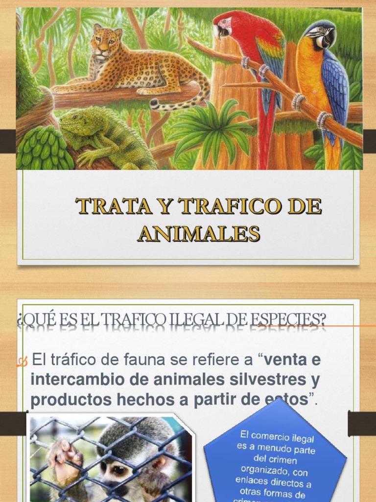 Trata y Trafico de Animales | PDF | Naturaleza | Bienestar