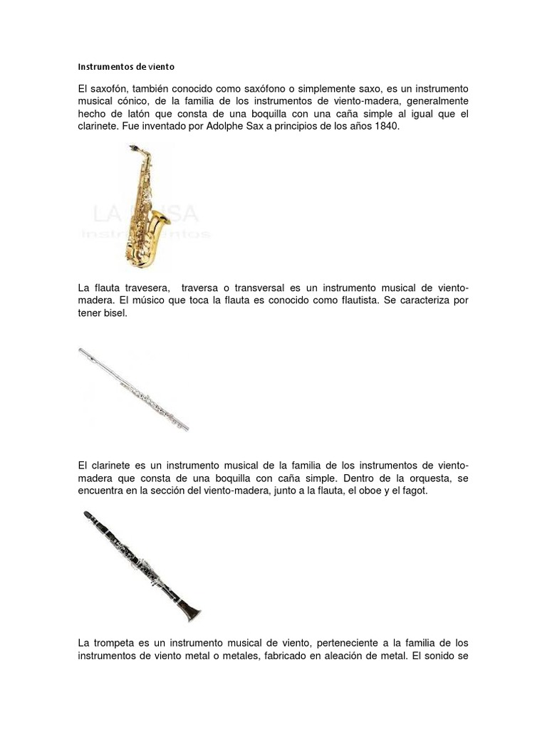 Instrumentos Musicales: Viento, Cuerda, Percusión y Electrónicos | PDF ...