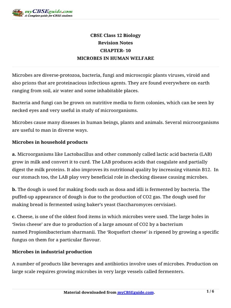 12 Biology Notes Ch10 Microbes in Human Welfare | PDF | Anaerobic ...