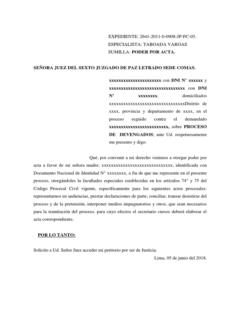 Poder Por Acta | PDF