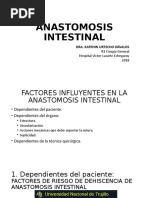 Incisión Rocky Davis | PDF | Medicina CLINICA | Anatomía