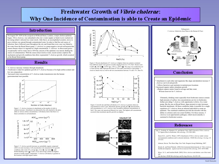 Cholera Poster | PDF | Cholera | Bacteria