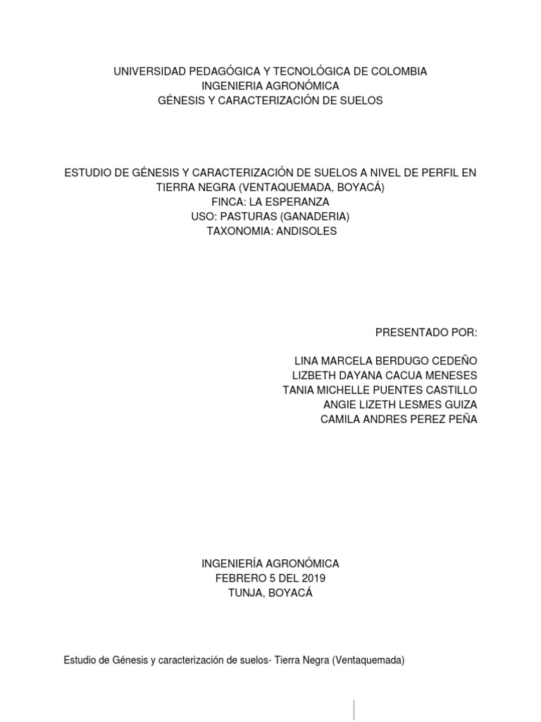 Estudio de Genesis y Caracterización Andisoles | PDF | Roca (geología ...