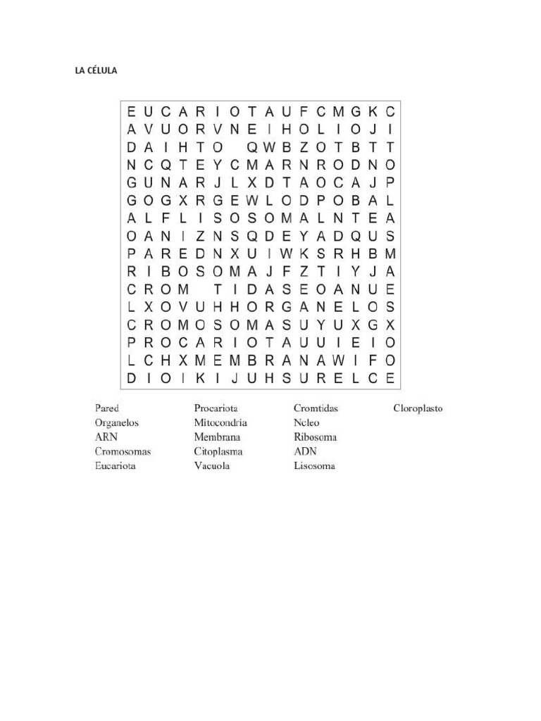 Sopa de Letras de La Célula | PDF