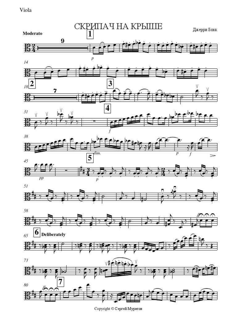Fiddler On The Roof | PDF | Tempo | Music Theory