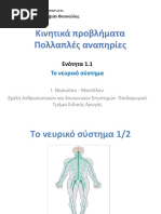 Ανατομια Β ΕΠΑΛ PDF | PDF