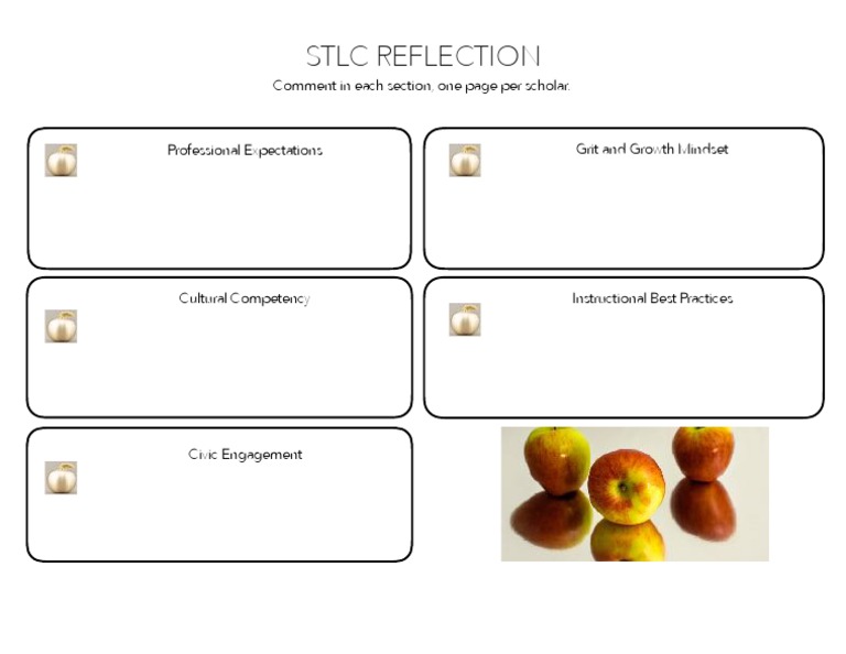 STLC Reflection | PDF
