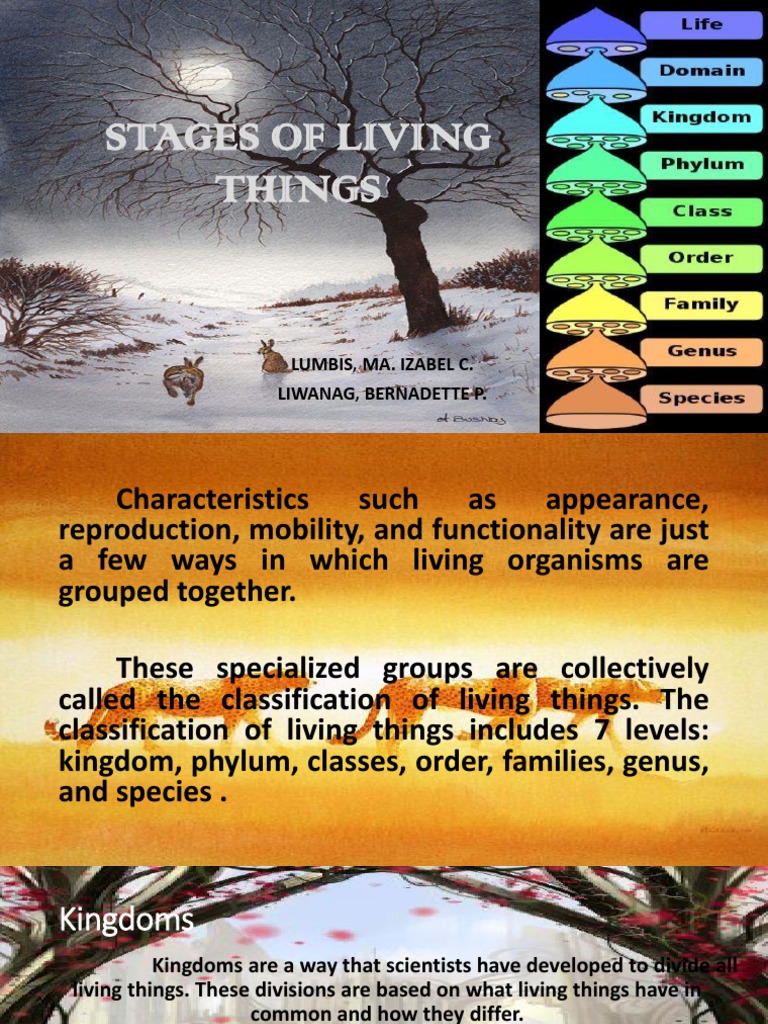 Stages of Living Things | PDF | Life | Taxonomy (Biology)
