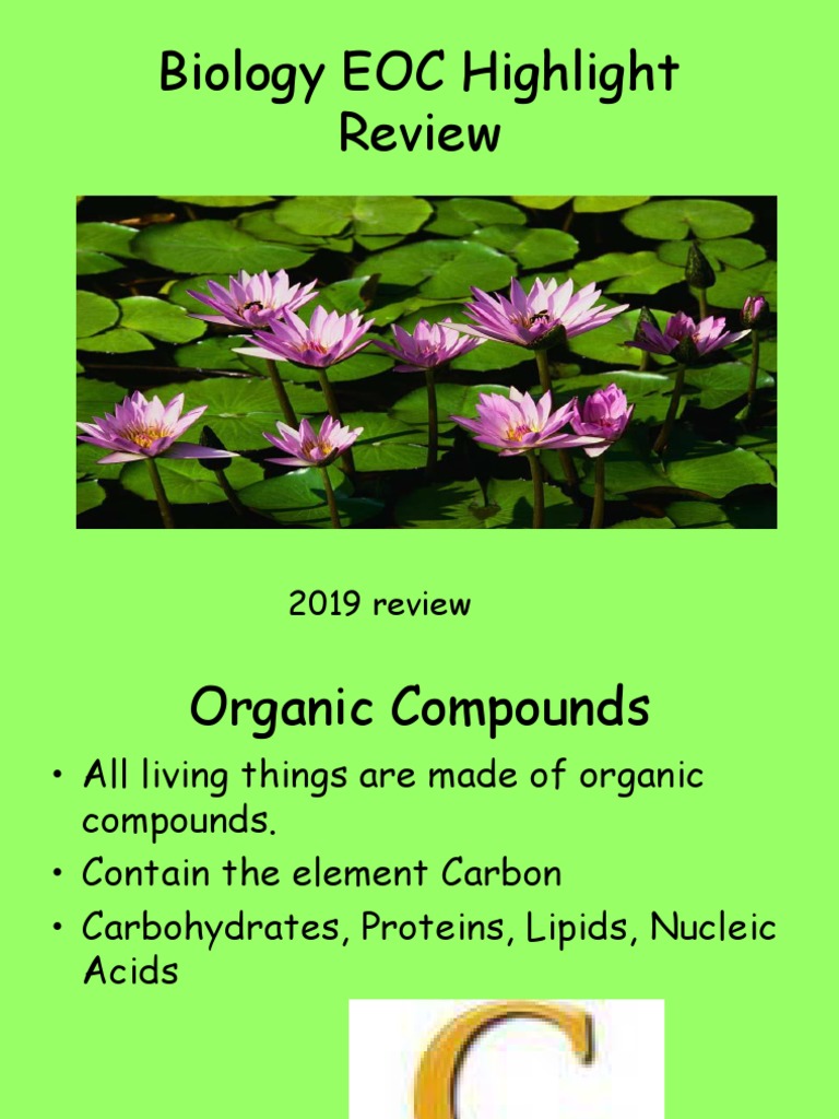 Eoc Review 2019 | PDF | Meiosis | Dominance (Genetics)