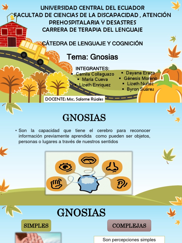 Gnosias Final 1 Edades | PDF | Gusto | Percepción visual