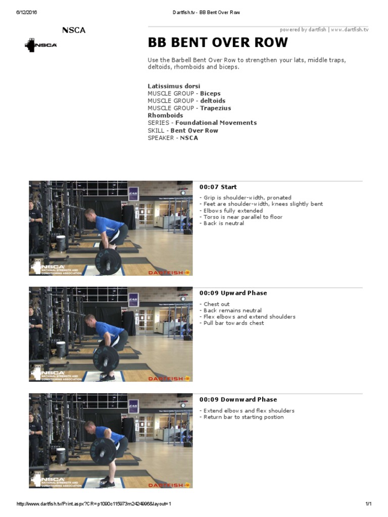 Strengthening the Back and Biceps: Proper Form and Technique for the ...