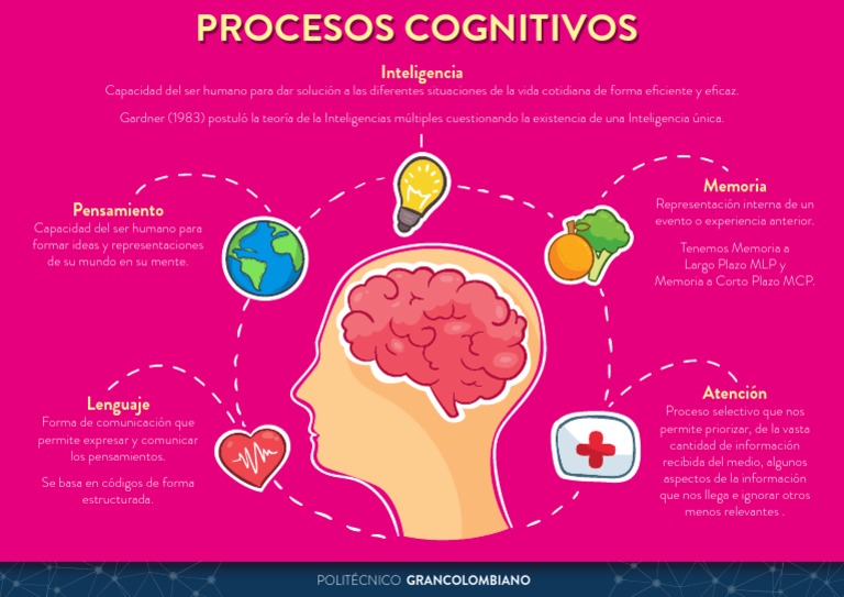 infografia procesos cognitivos.pdf