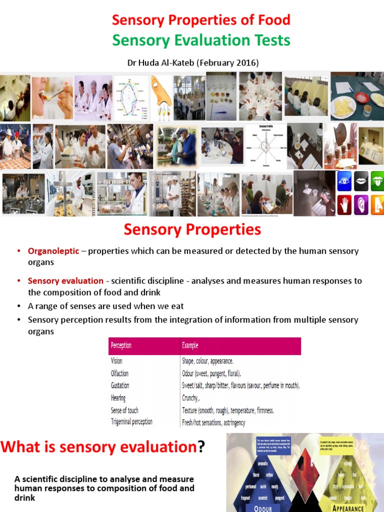 Sensory Evaluation Introduction | PDF | Odor | Perception