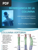 Tracto Rubroespinal | PDF | Cerebro | Neuroanatomía