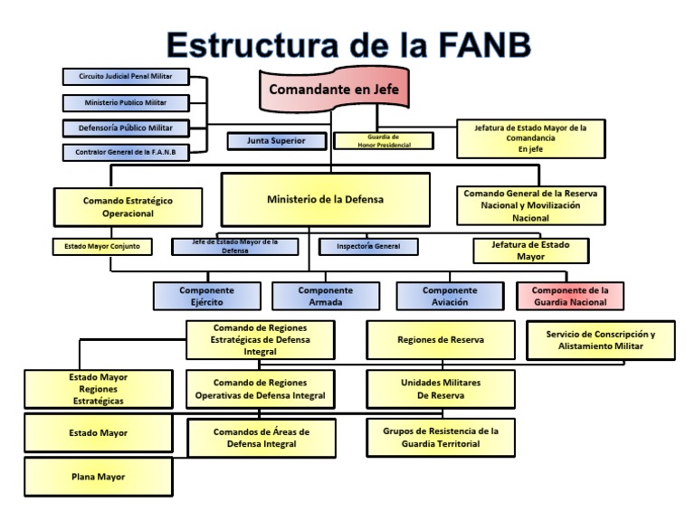 10. ESTRUCTURA FANB | Oficial general | Política de defensa